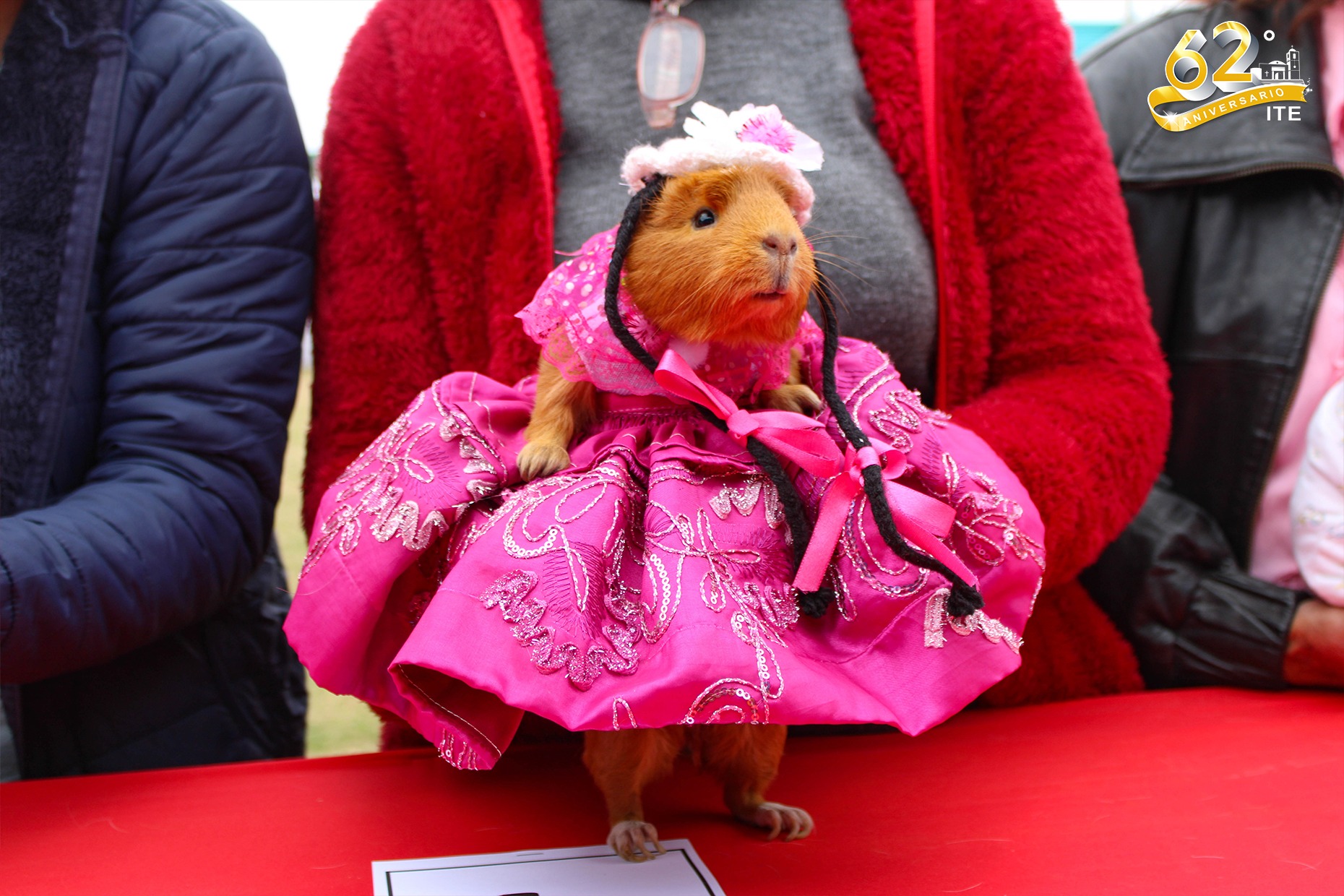 𝗖𝗢𝗡𝗖𝗨𝗥𝗦𝗢 𝗗𝗘 𝗖𝗨𝗬 𝗙𝗔𝗦𝗛𝗜𝗢𝗡 | Municipalidad Distrital de Ite - Jorge ...